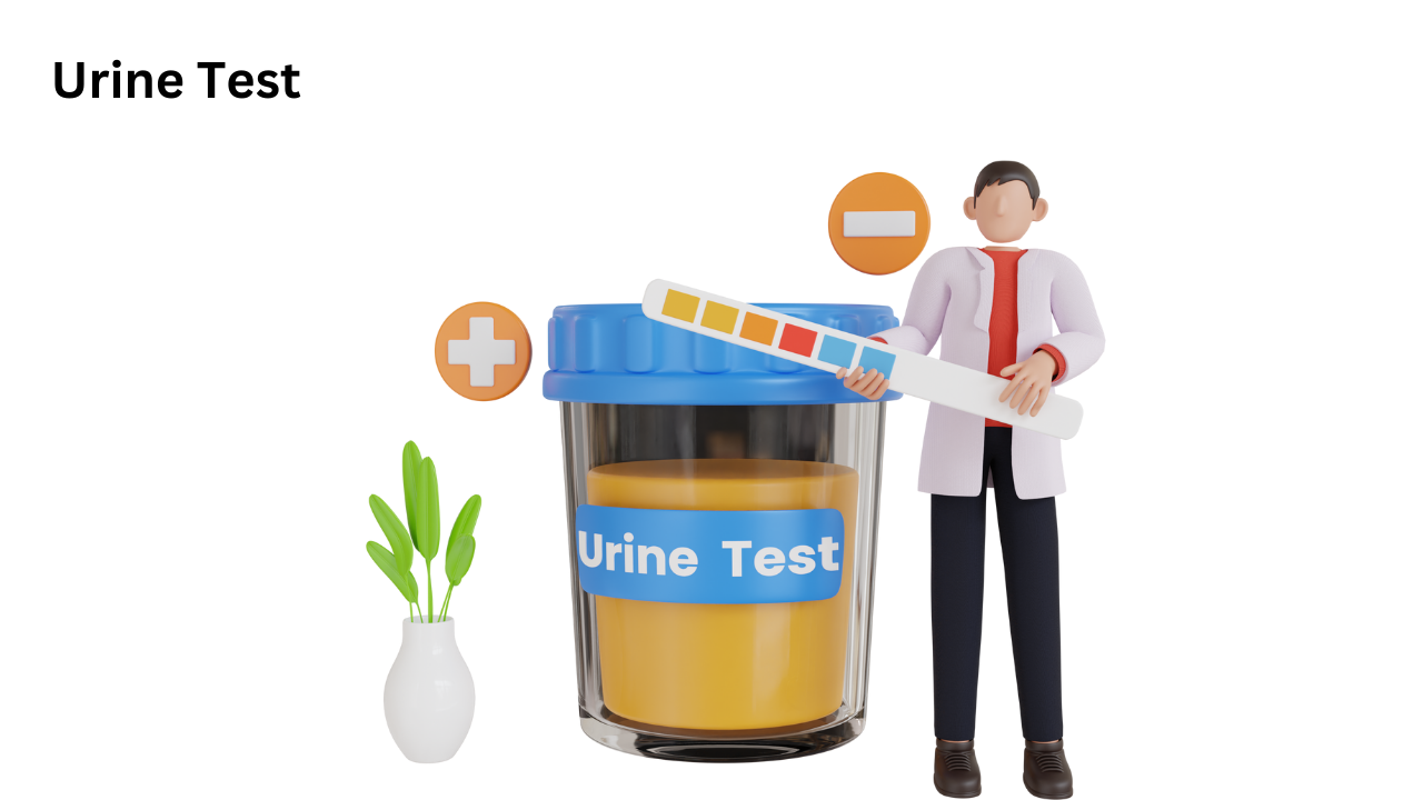 Urine Test: To check for infections or other conditions - Period Pain ...
