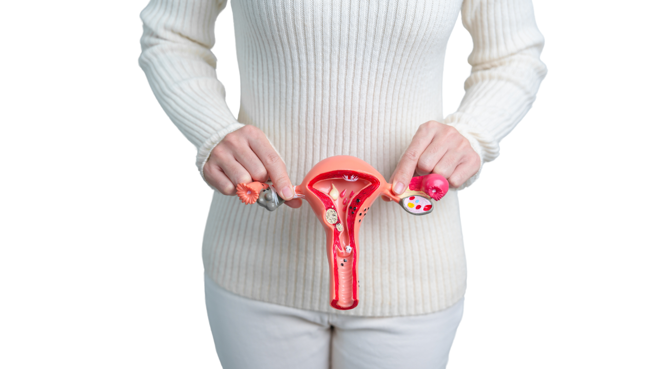 Uterine fibroids : noncancerous growths in the uterus . - Period Pain ...