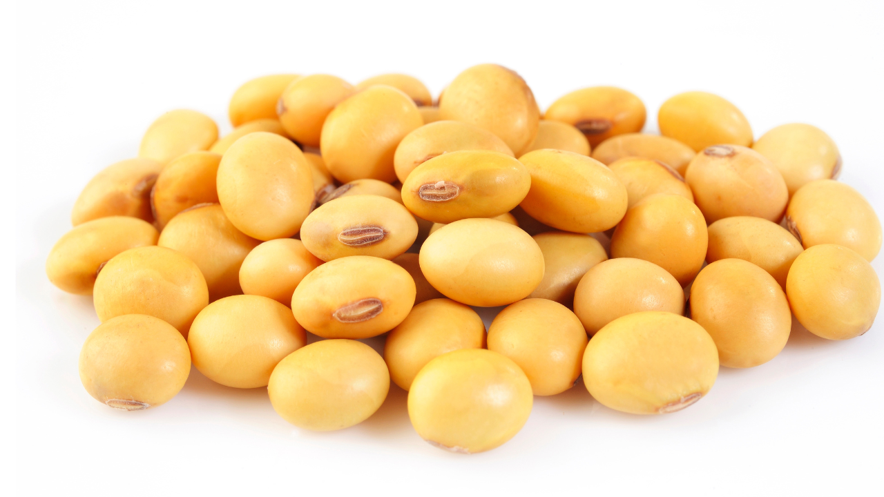 Soybeans: Can interfere with thyroid function in some individuals ...